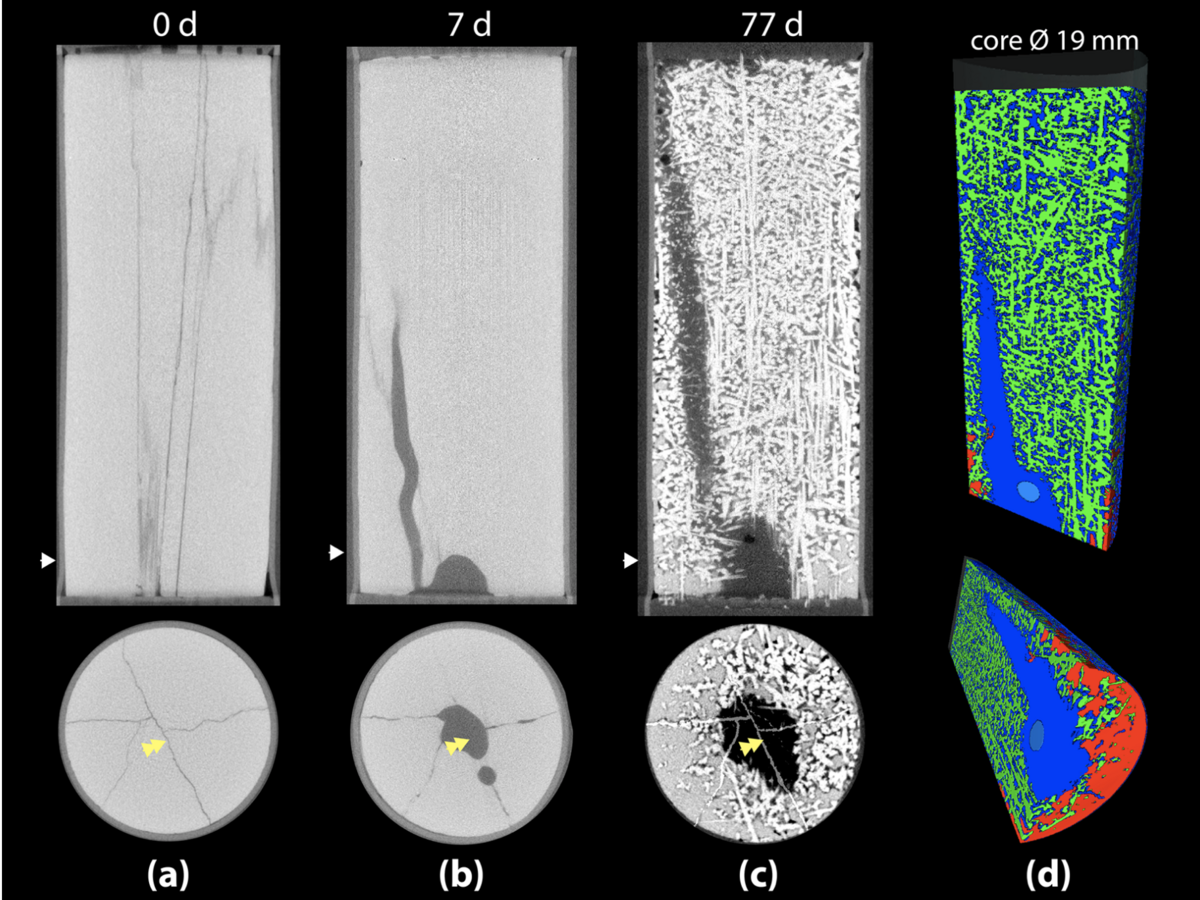 A new X-ray-transparent flow-through reaction cell for a μ-CT-based ...